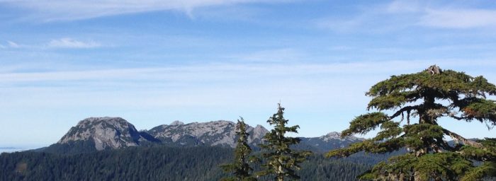 Alaska LLC Formation